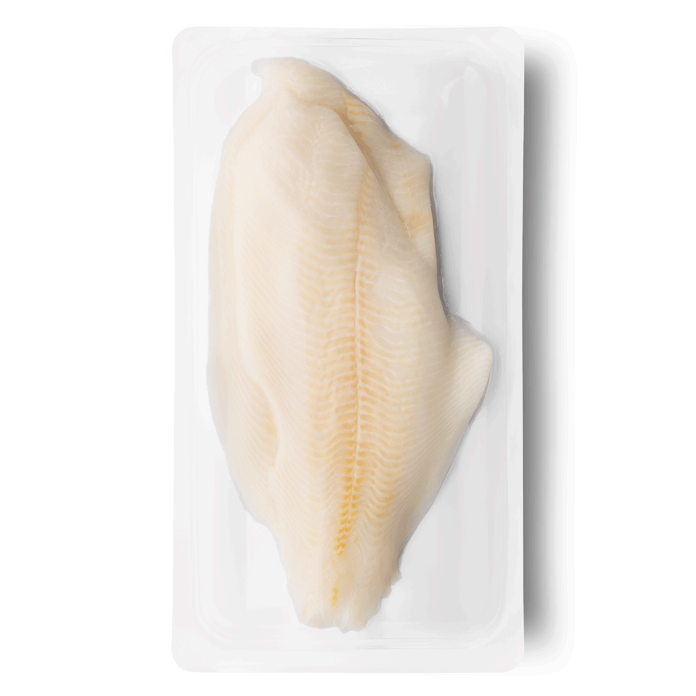 Turbot Fillet Skinless 8-16 oz. - True North Seafood
