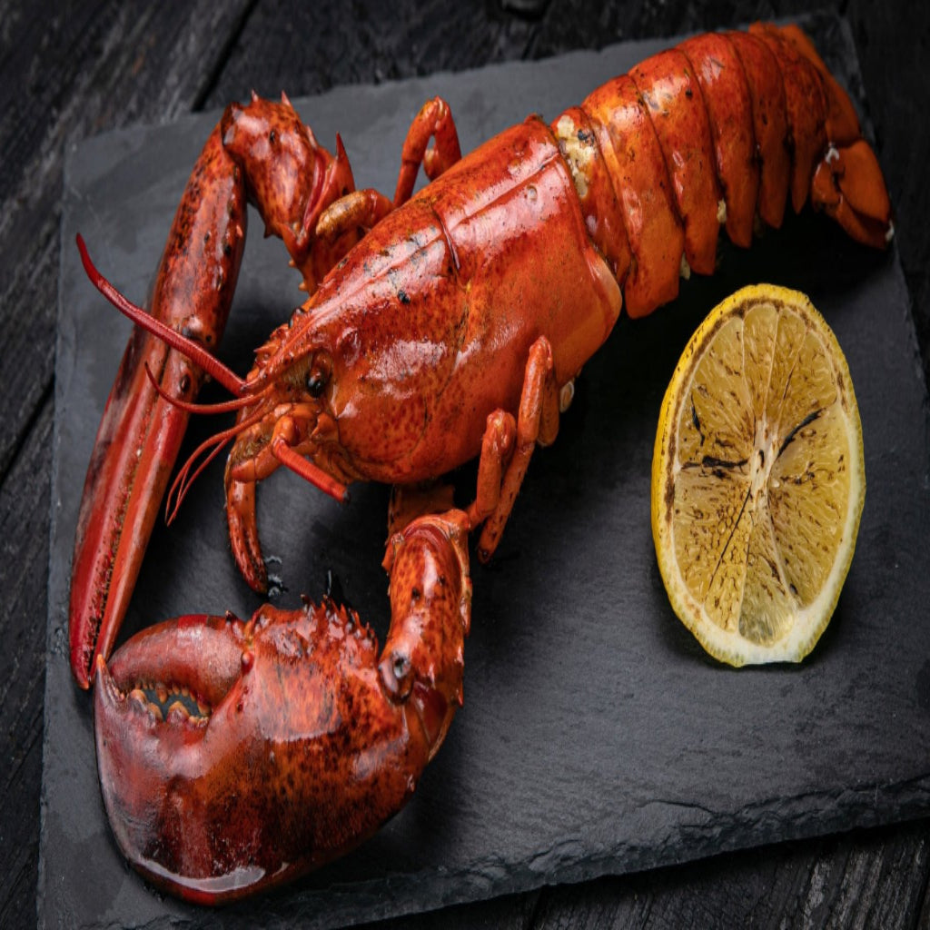 Lobster - Frozen (Fully Cooked) - True North Seafood