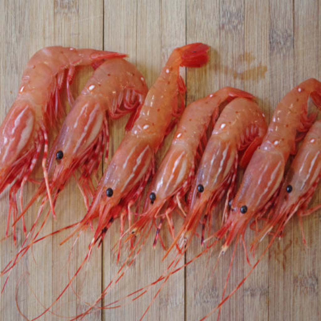 Spot Prawns 1 kg (20-24) - True North Seafood