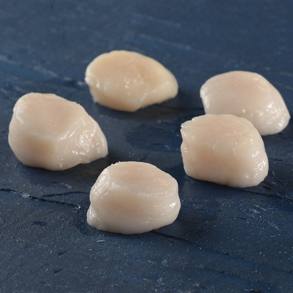 Frozen Sea Scallops 20/30 - True North Seafood